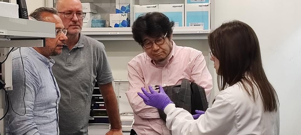 Professor Shigeo Maruyama visits our Lab! - Nanomedicine Lab