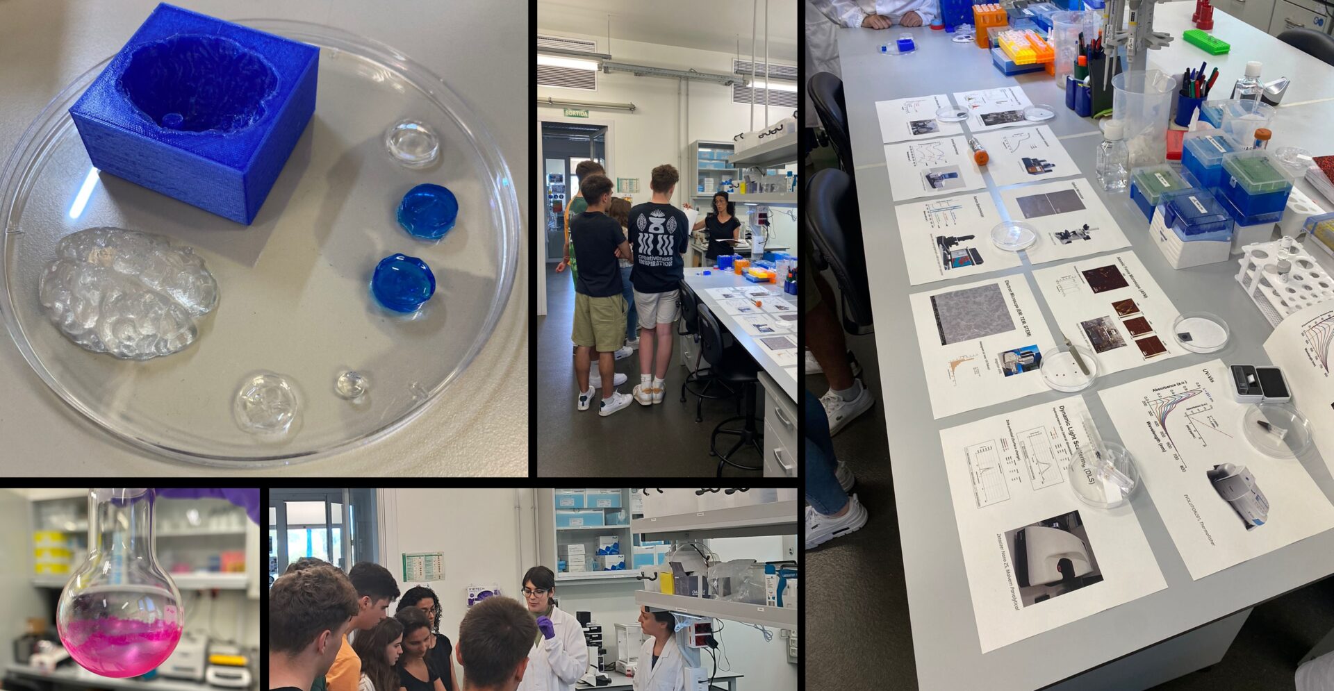 The Lab helps inspire future scientists - Nanomedicine Lab